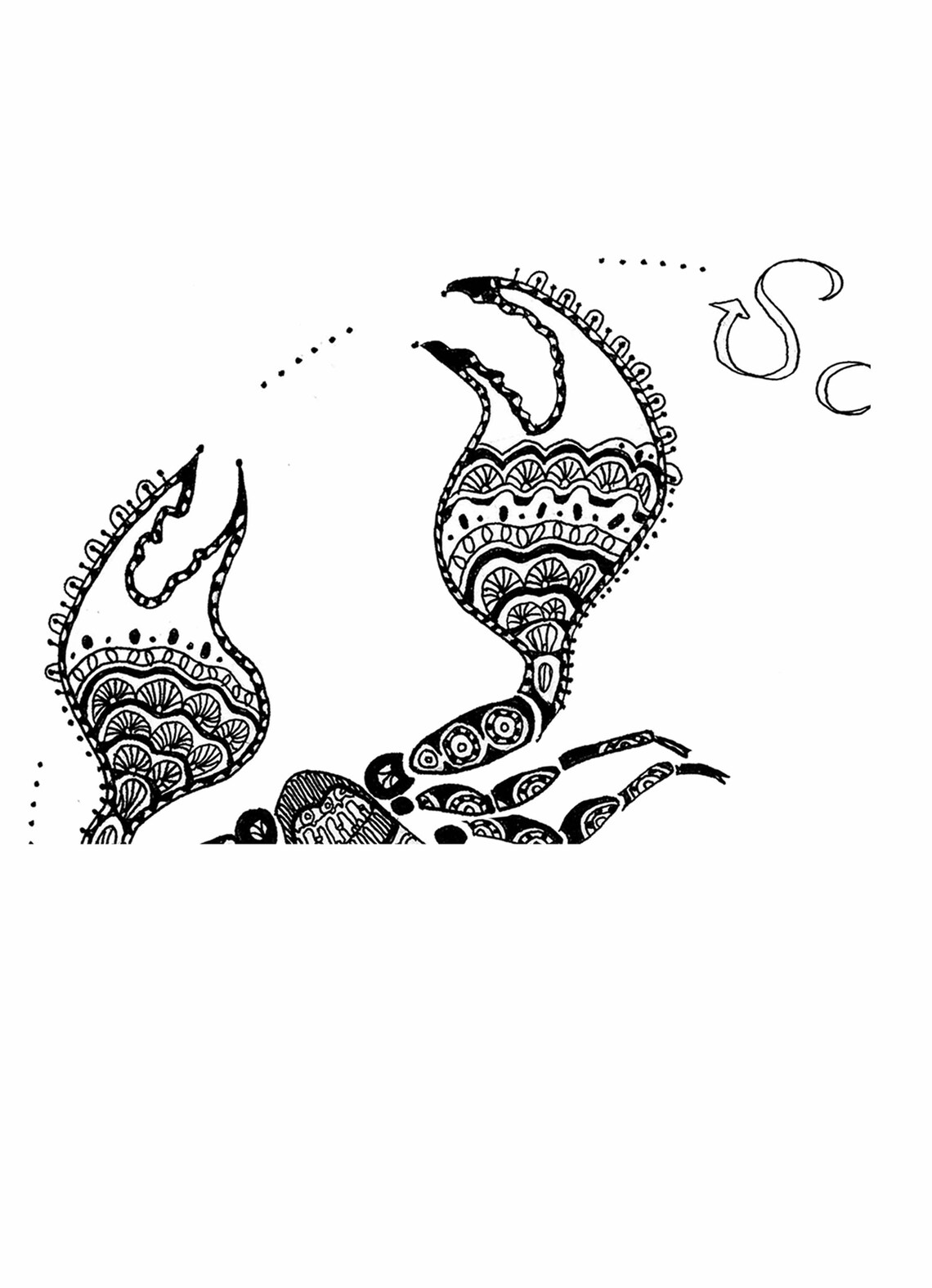 Scorpio Zodiac Print: Pen and Ink Star Sign Art (digital Print) - Etsy