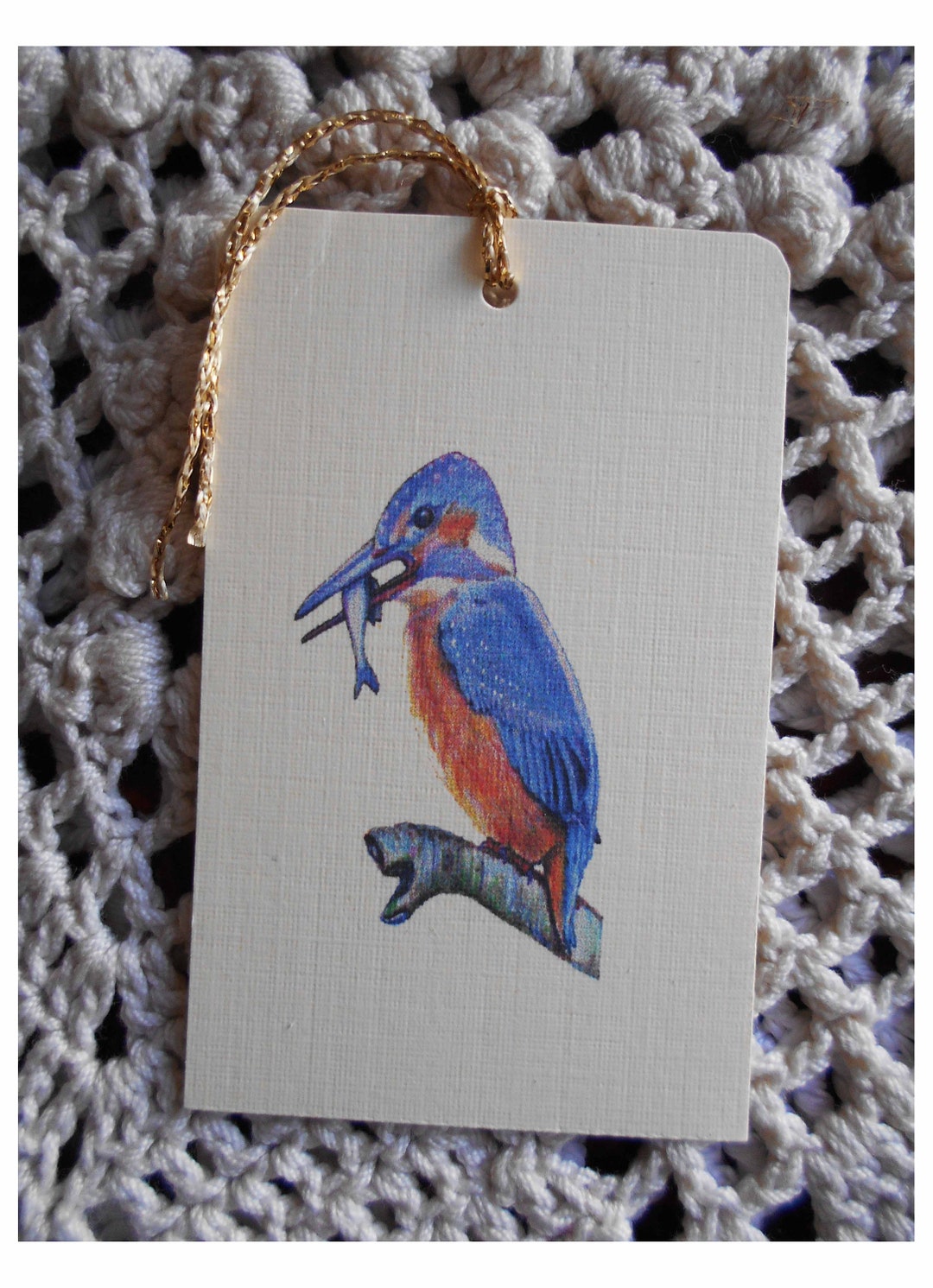 Kingfisher Gift Tags: Handdrawn Bird Labels With Gold Ties (pack of 8 ...