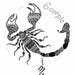 Scorpio Zodiac Print: Pen and Ink Star Sign Art (digital Print) - Etsy