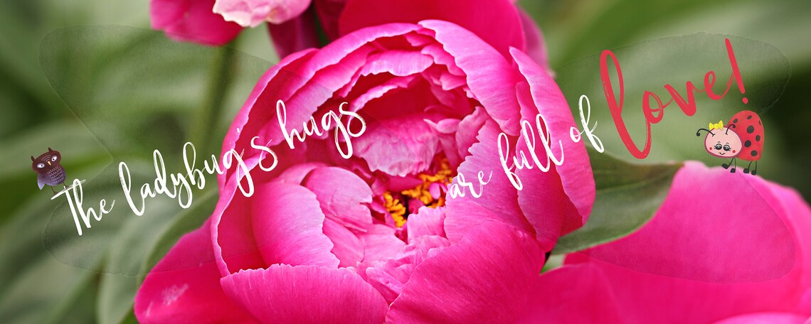 The Ladybug Hug, Children's Book, Ladybug, Ladybugs, Gifts, Children's ...