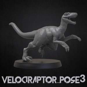 Dinosaurs Raptor Selection - Etsy