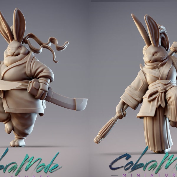 Rabbit Swordsman - Etsy