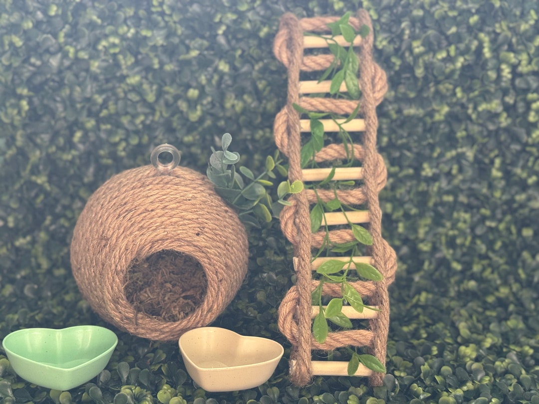 Hermit Crab Activity Starter Bundle Hideaway Ladder Dishes - Etsy