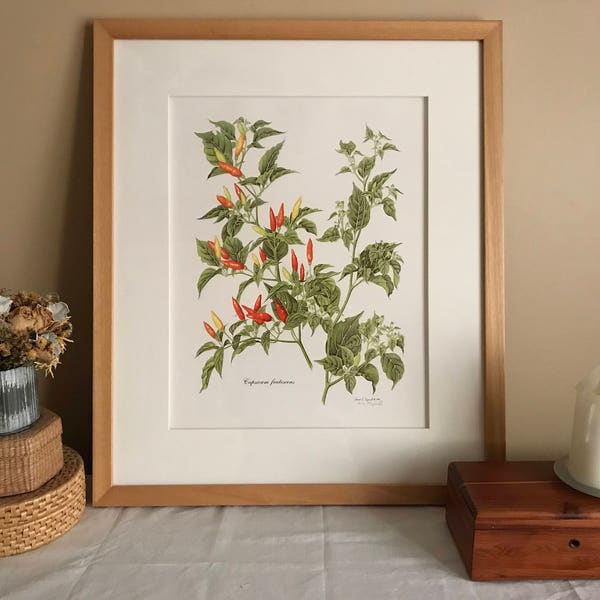 Original Botanical - Etsy