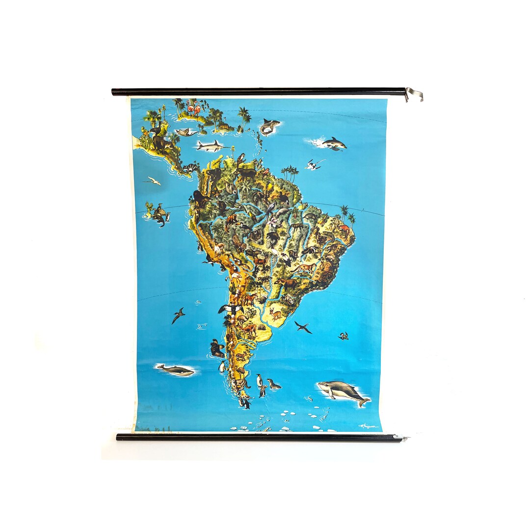 Mid Century Westermann School Map of South America: Wild Plants ...