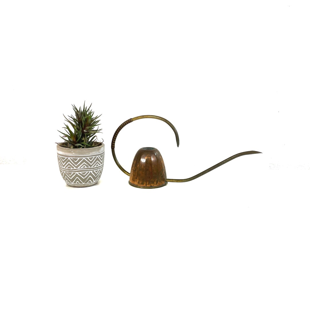 Timeless Mini Copper Brass Watering Can - Flower Can - Cactus Jug ...