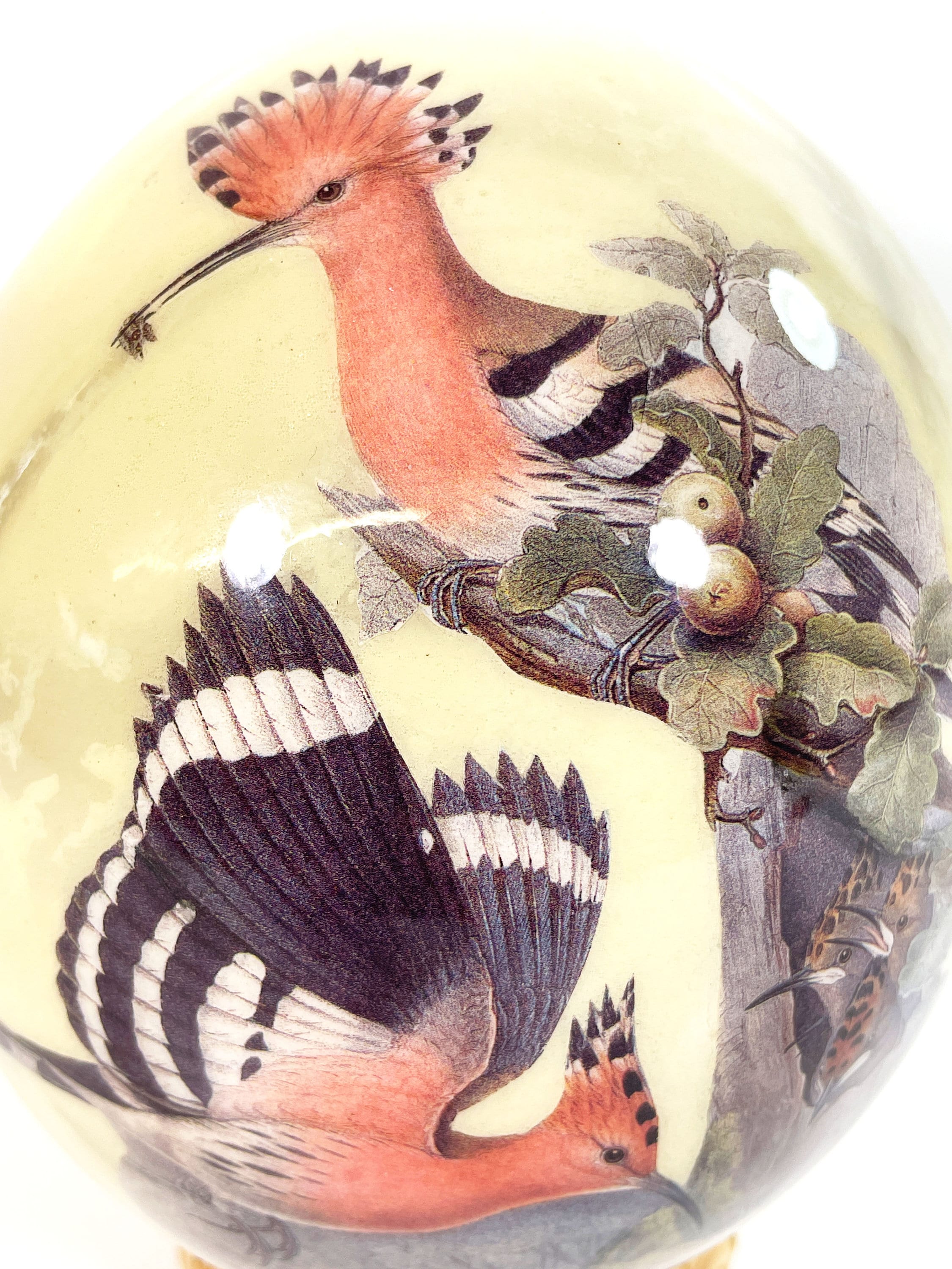Vintage Printed Ostrich Egg Sherry Rowe Hoopoe Birds - Etsy