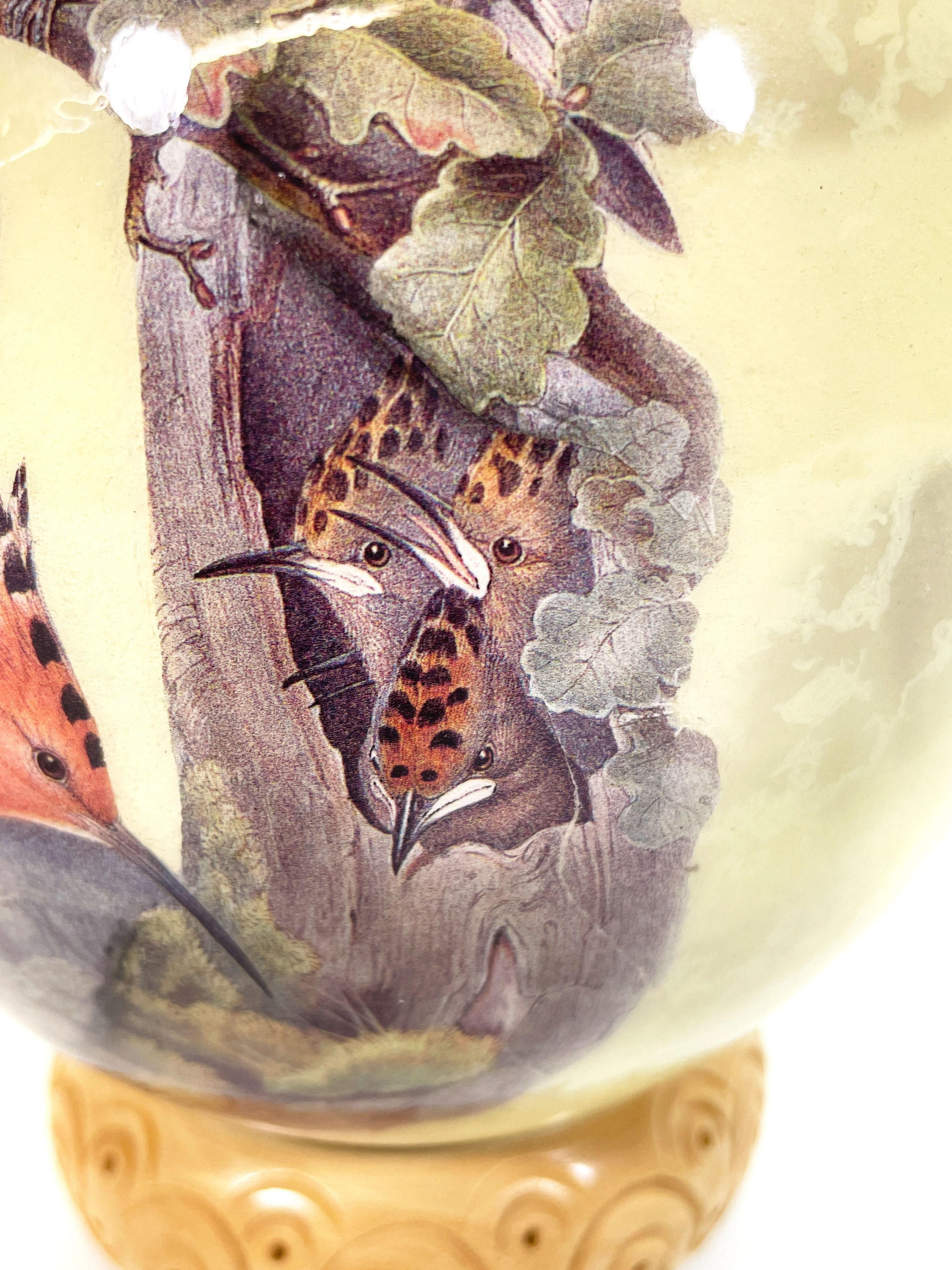 Vintage Printed Ostrich Egg Sherry Rowe Hoopoe Birds - Etsy