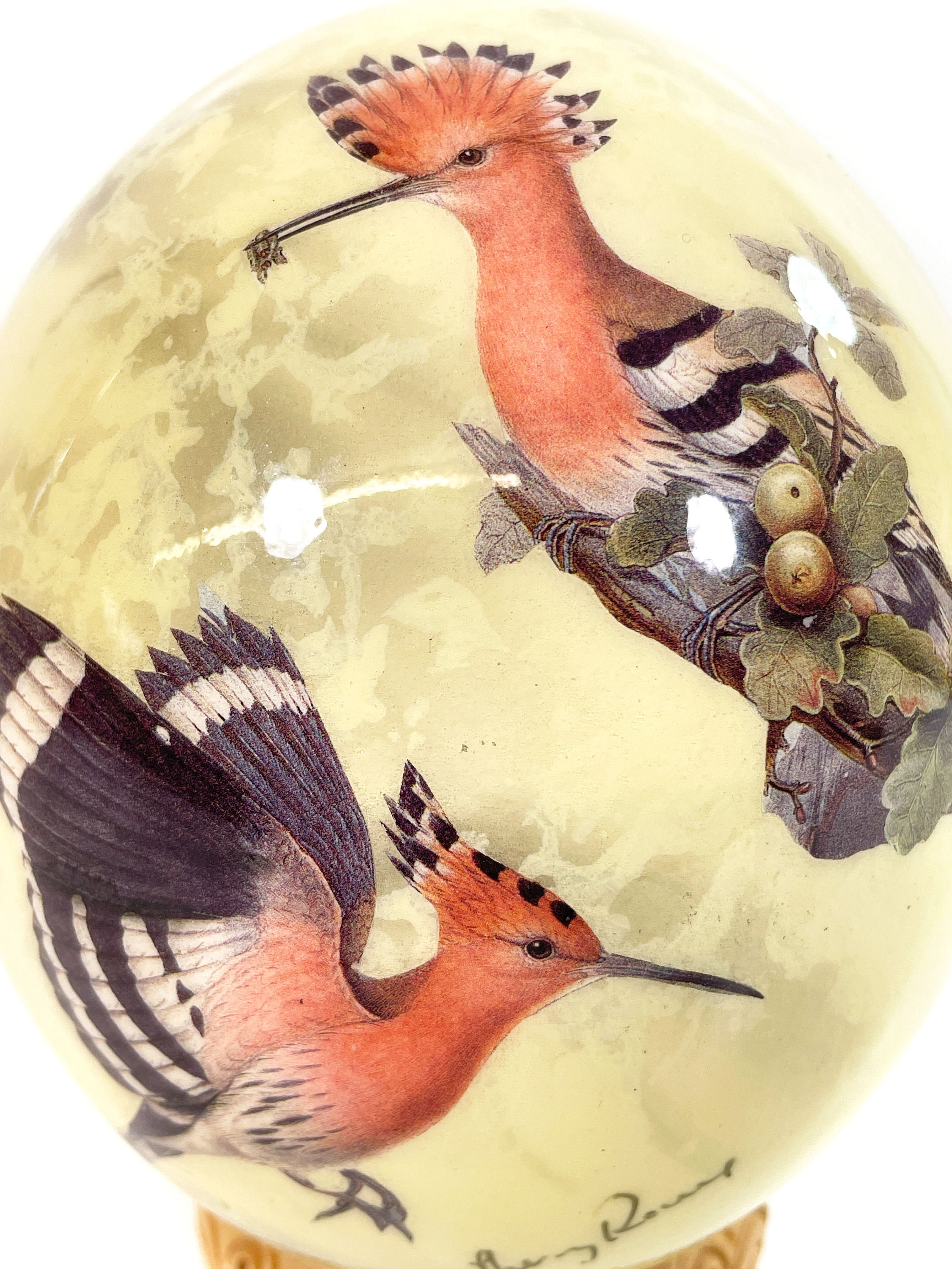 Vintage Printed Ostrich Egg Sherry Rowe Hoopoe Birds - Etsy
