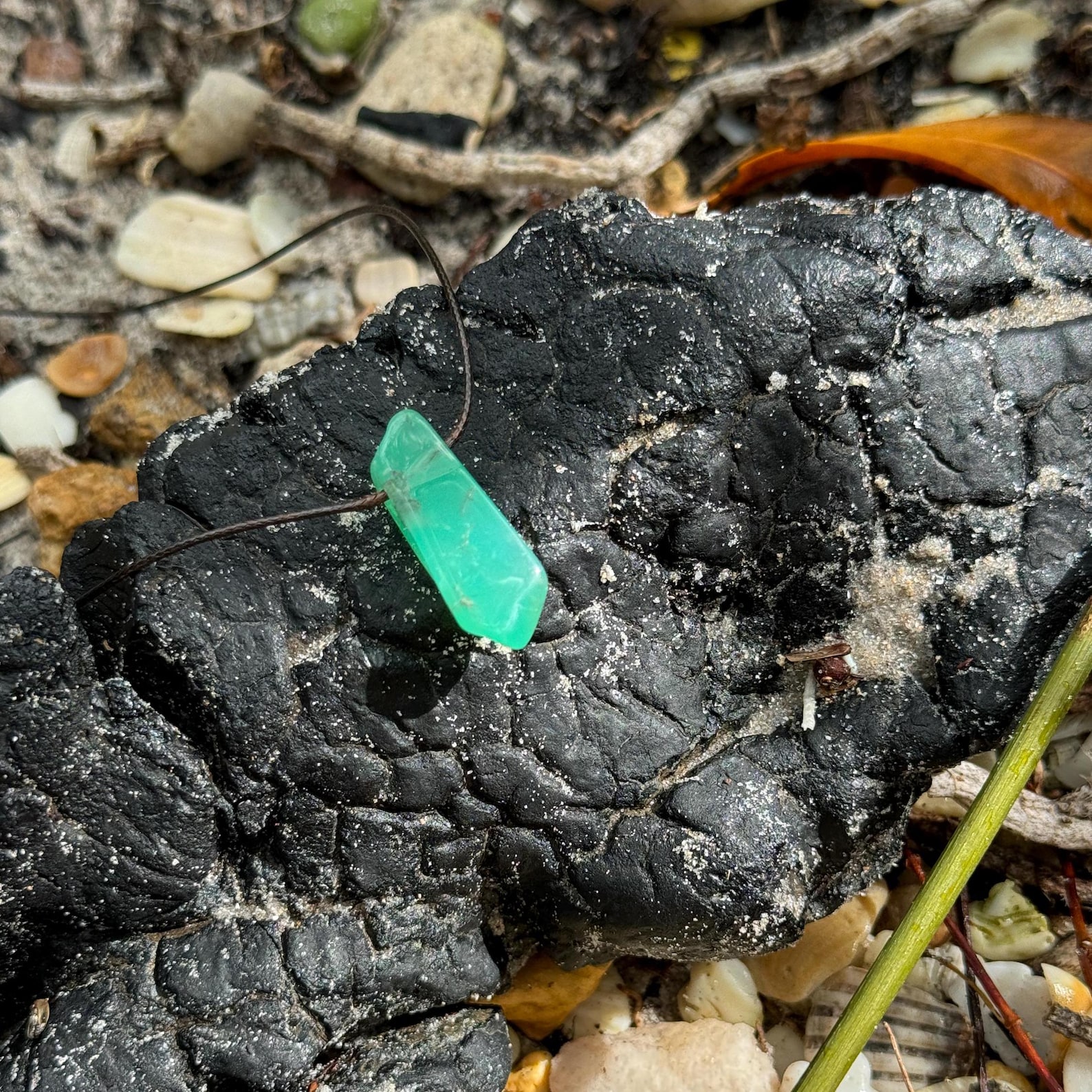Wilderness~ Green Chrysoprase Natural Pendant Glowing Stone Rough Raw ...