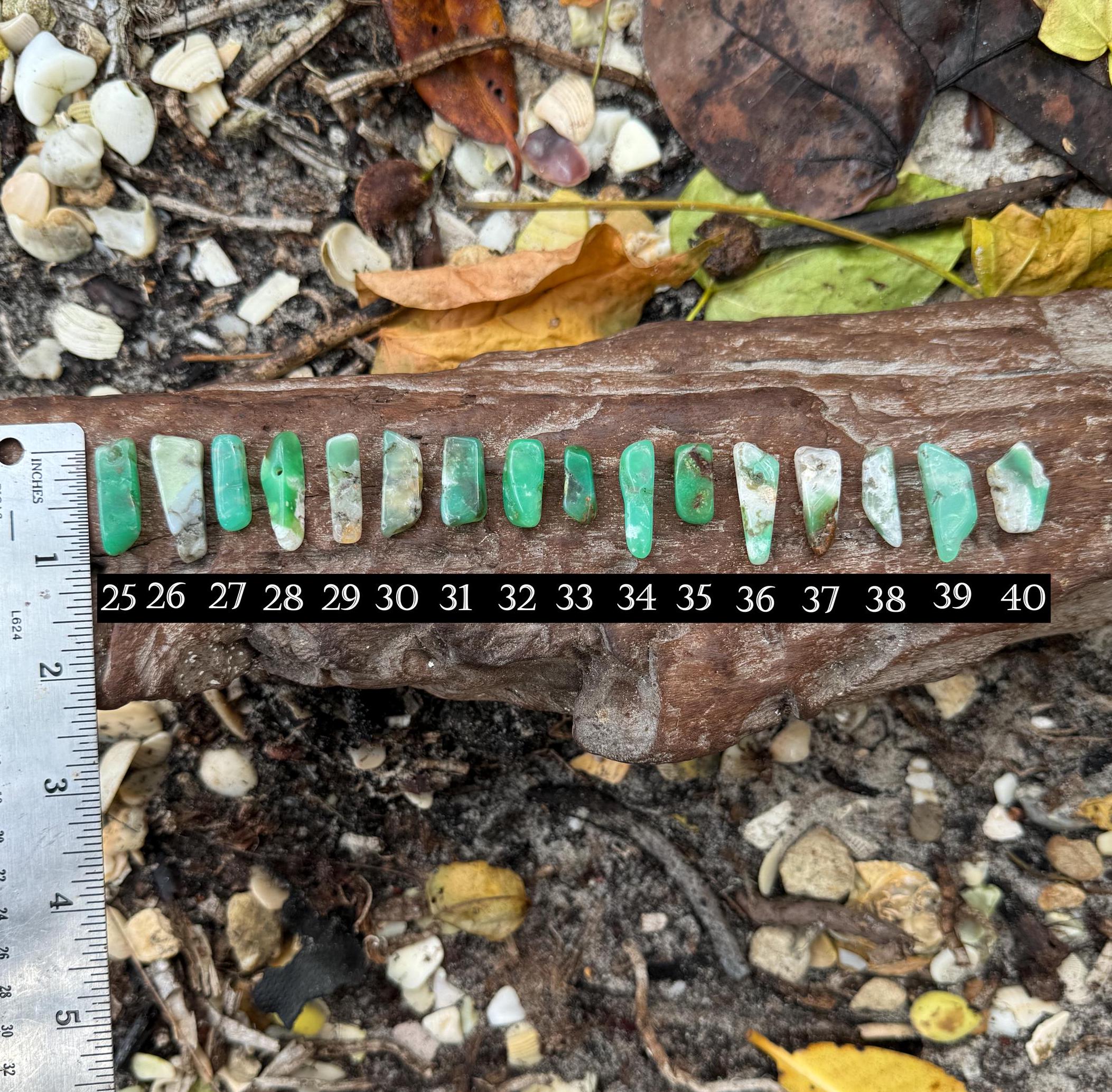 Wilderness~ Green Chrysoprase Natural Pendant Glowing Stone Rough Raw ...