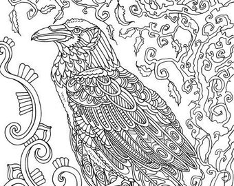 Raven Coloring Pages | Etsy