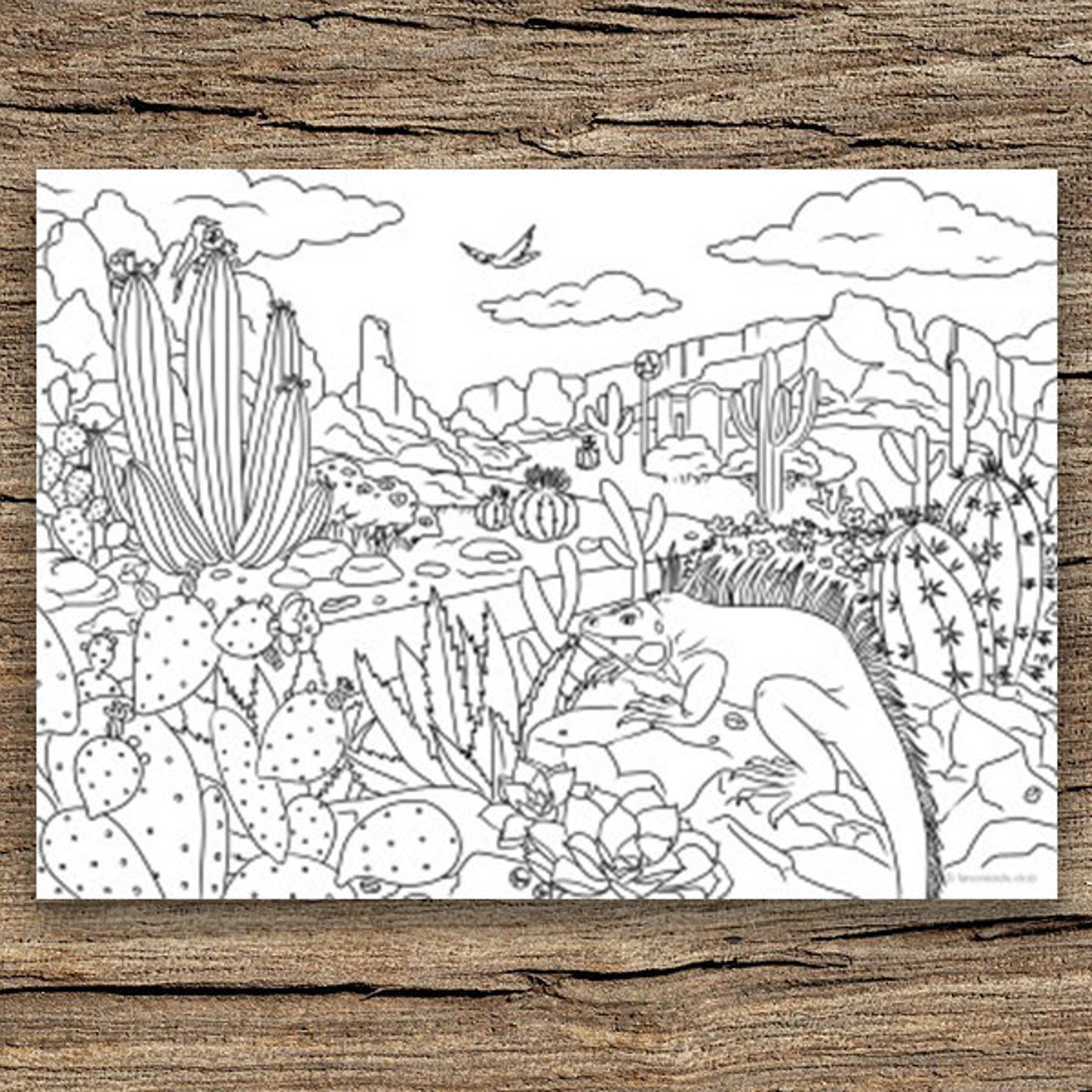 Desert Printable Adult Coloring Page From Favoreads Coloring - Etsy