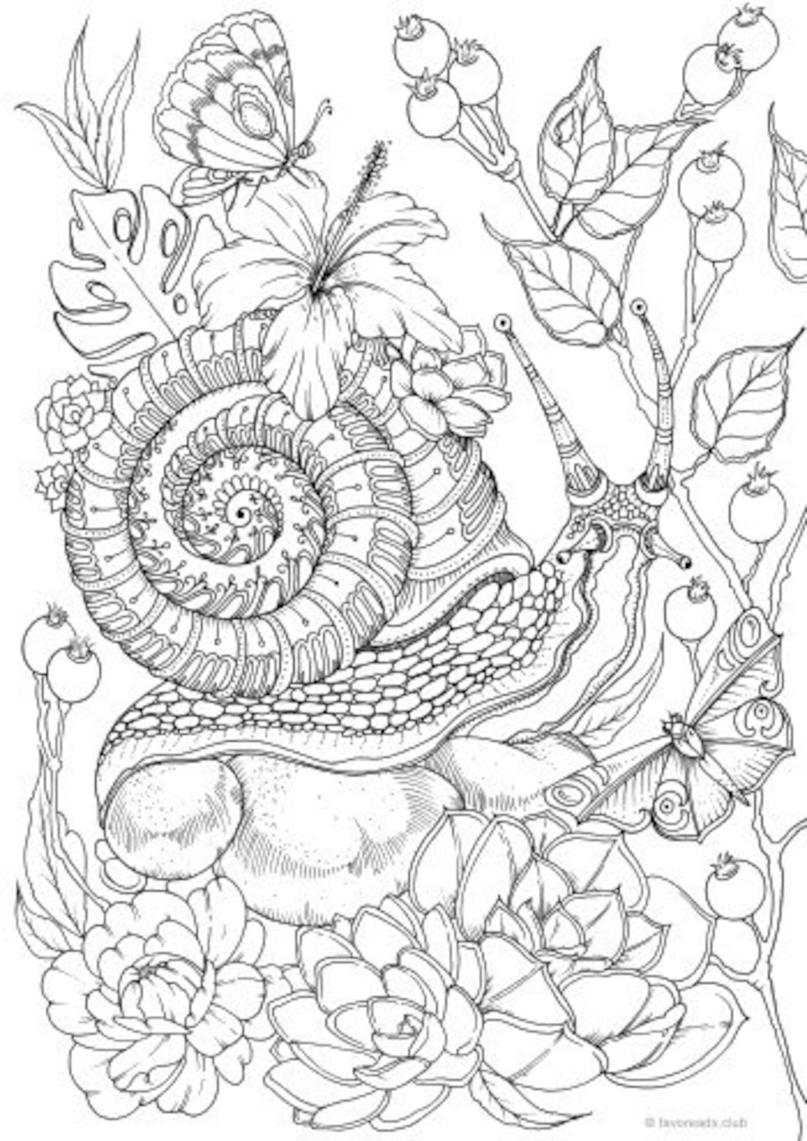 Snail Printable Adult Coloring Page From Favoreads coloring | Etsy