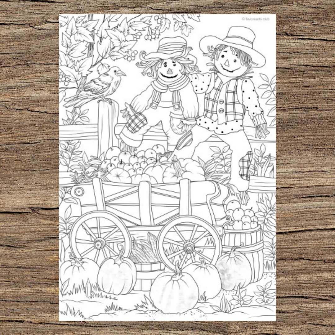 Scarecrows Printable Adult Coloring Page From Favoreads - Etsy UK