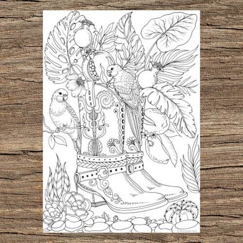 Wardrobe Printable Adult Coloring Page From Favoreads - Etsy