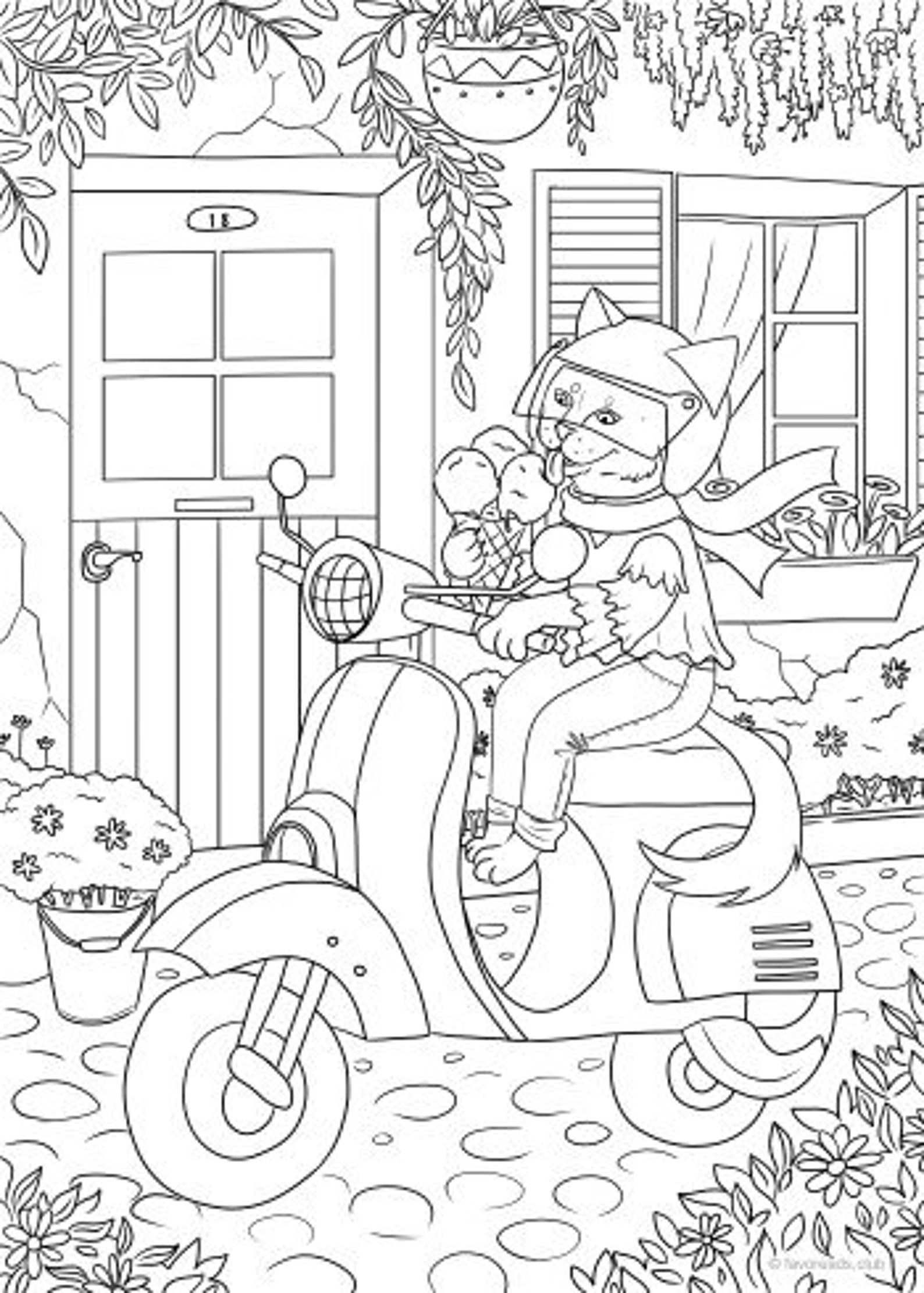 Cute Driver Printable Adult Coloring Page From Favoreads - Etsy