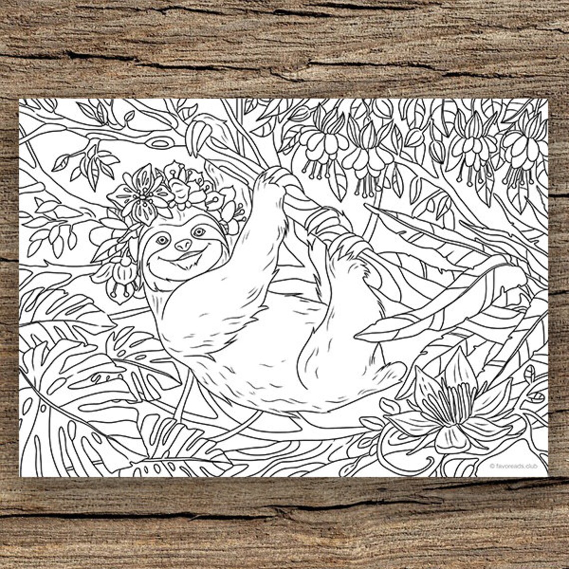 Sloth Printable Adult Coloring Page From Favoreads Coloring - Etsy ...