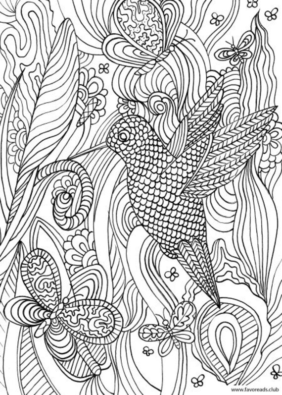 Colibri Printable Adult Coloring Page From Favoreads | Etsy Canada