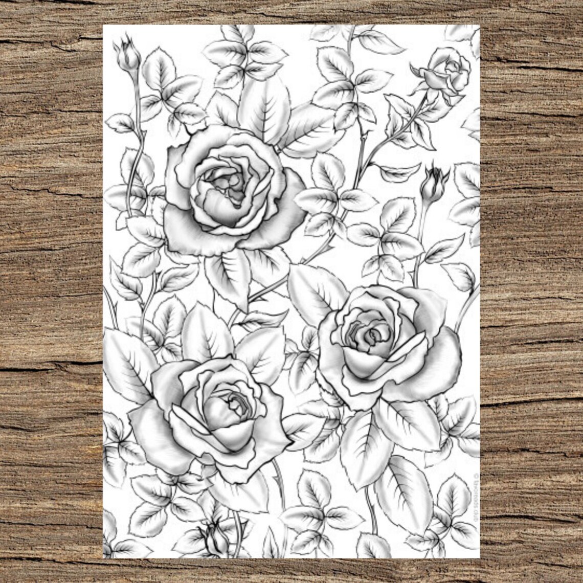 Roses Printable Adult Coloring Page from Favoreads Coloring | Etsy