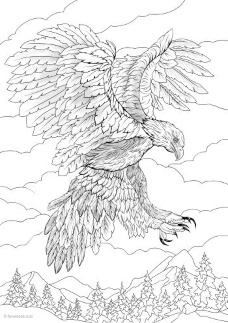 Eagle Printable Adult Coloring Page From Favoreads coloring - Etsy Canada