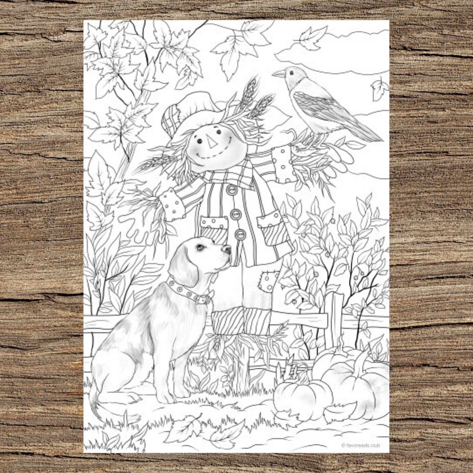 Scarecrow Printable Adult Coloring Page From Favoreads - Etsy