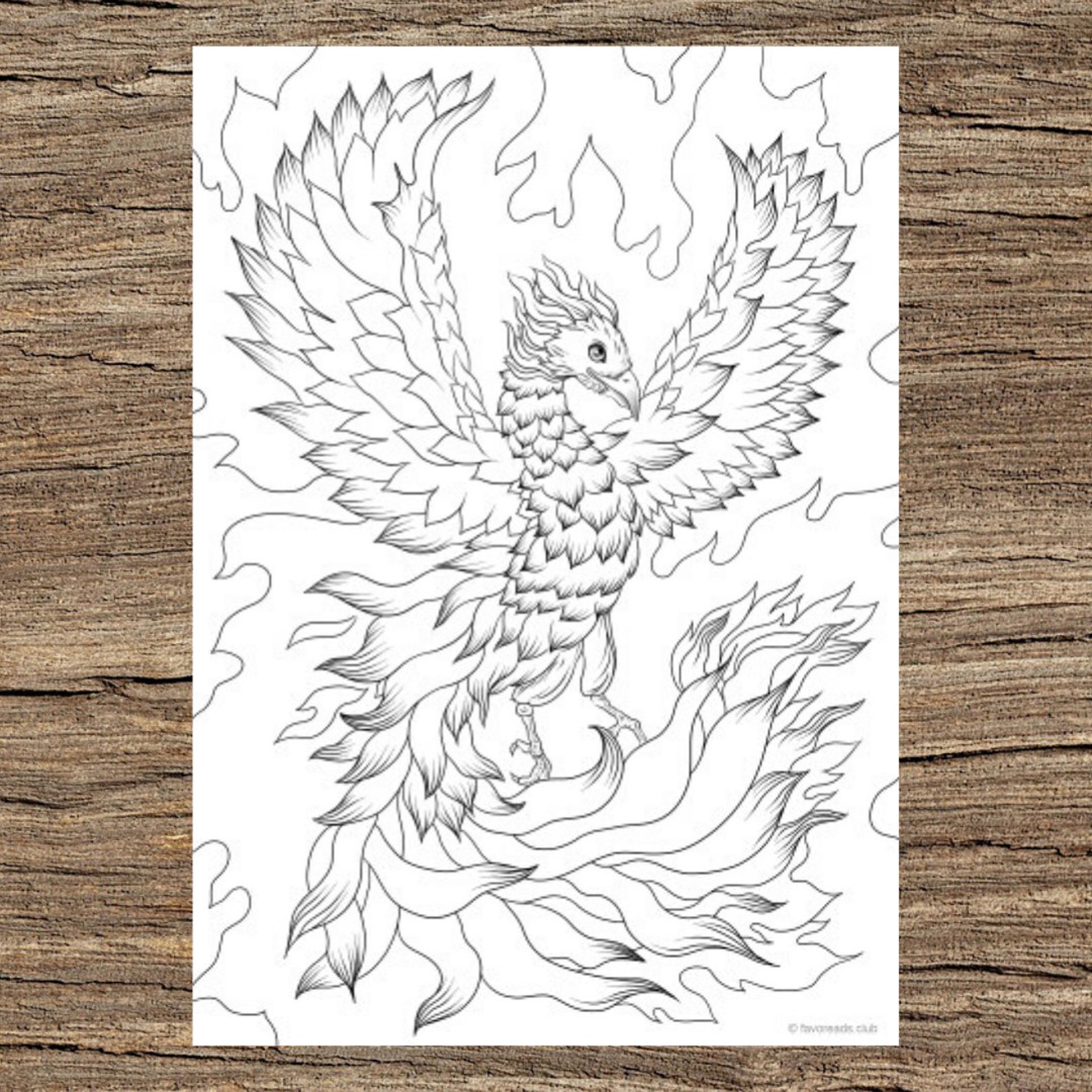 Phoenix Printable Adult Coloring Page From Favoreads | Etsy