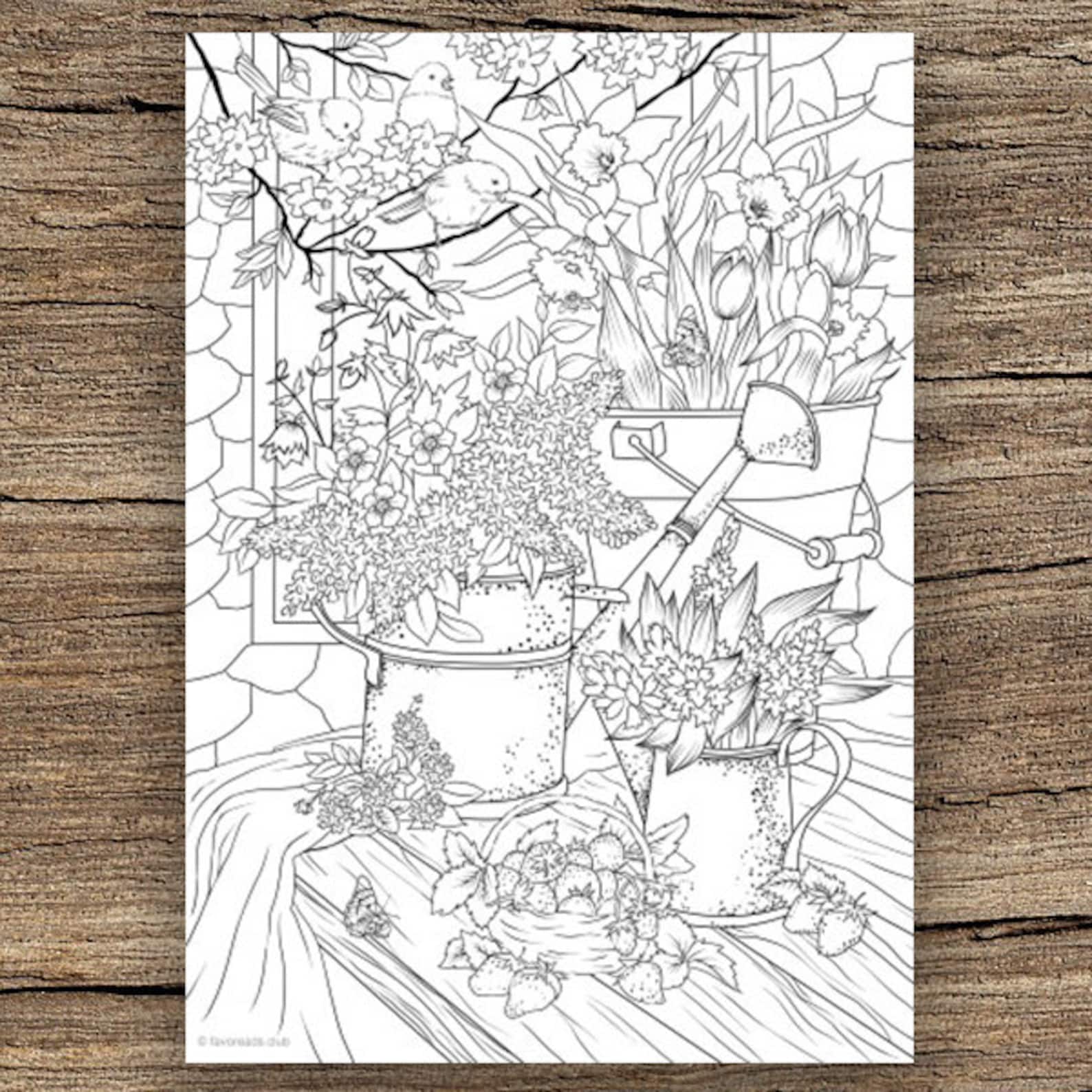 Summer Vibes Printable Adult Coloring Page From Favoreads - Etsy