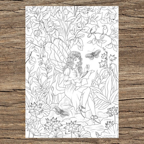 Coloring Pages For Adults Difficult Fairies