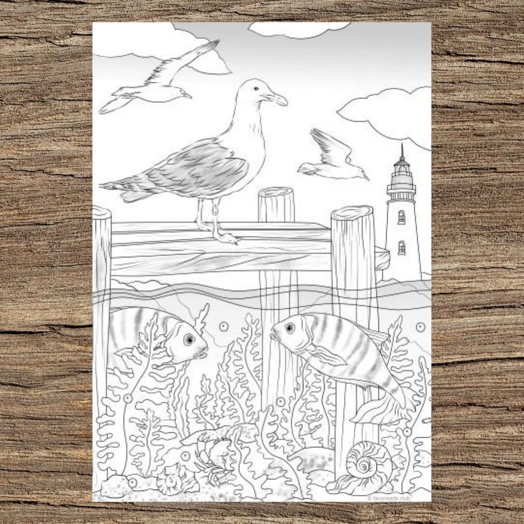 Dock - Printable Adult Coloring Page From Favoreads Coloring Book Pages ...