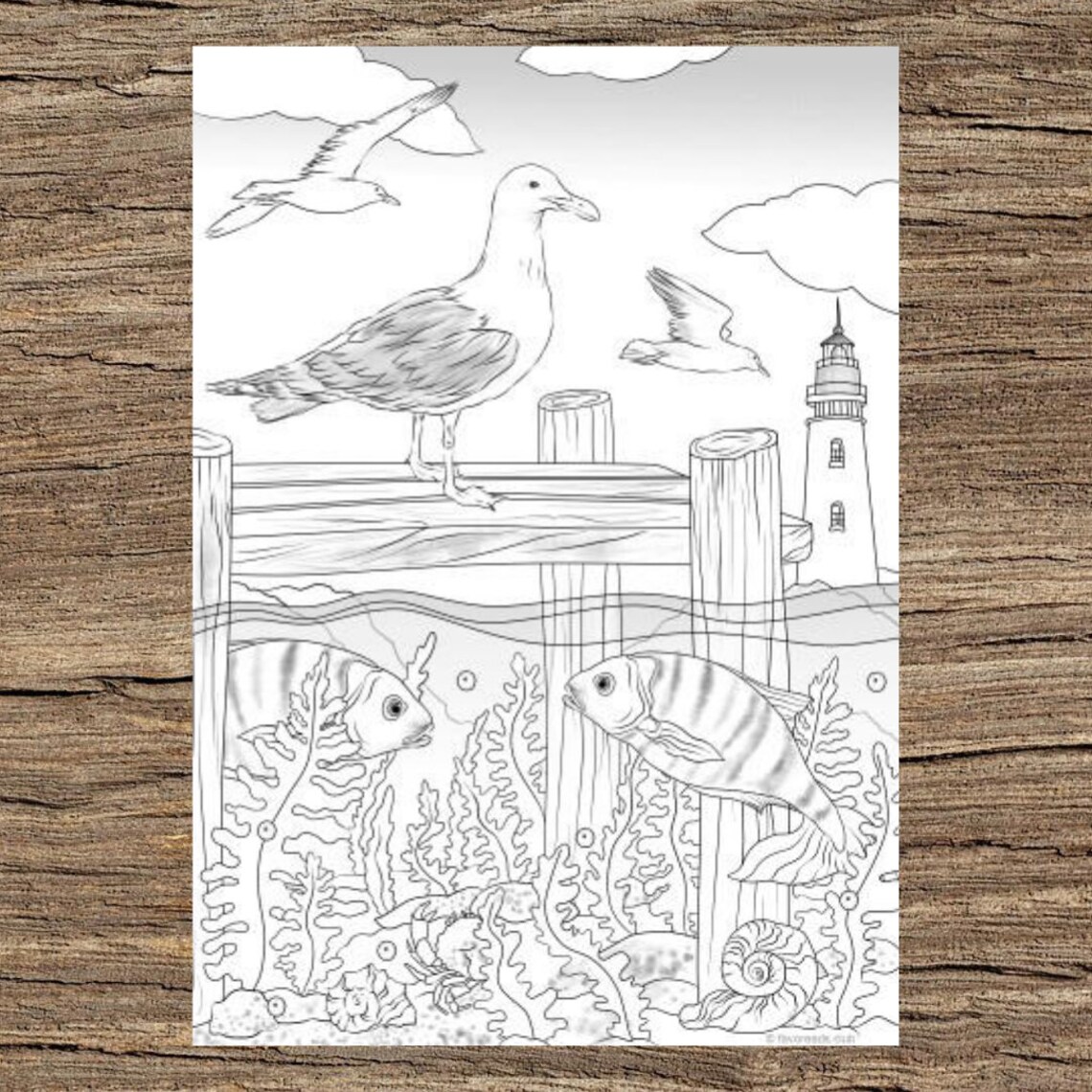Dock Printable Adult Coloring Page From Favoreads Coloring - Etsy
