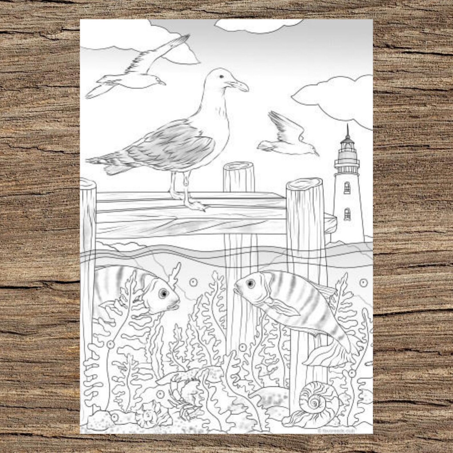 Dock Printable Adult Coloring Page From Favoreads Coloring - Etsy
