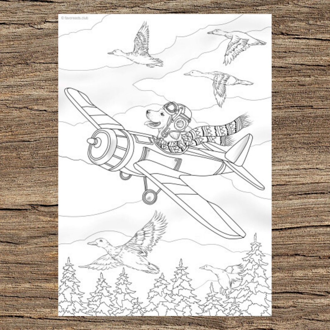 Pilot Printable Adult Coloring Page From Favoreads coloring - Etsy