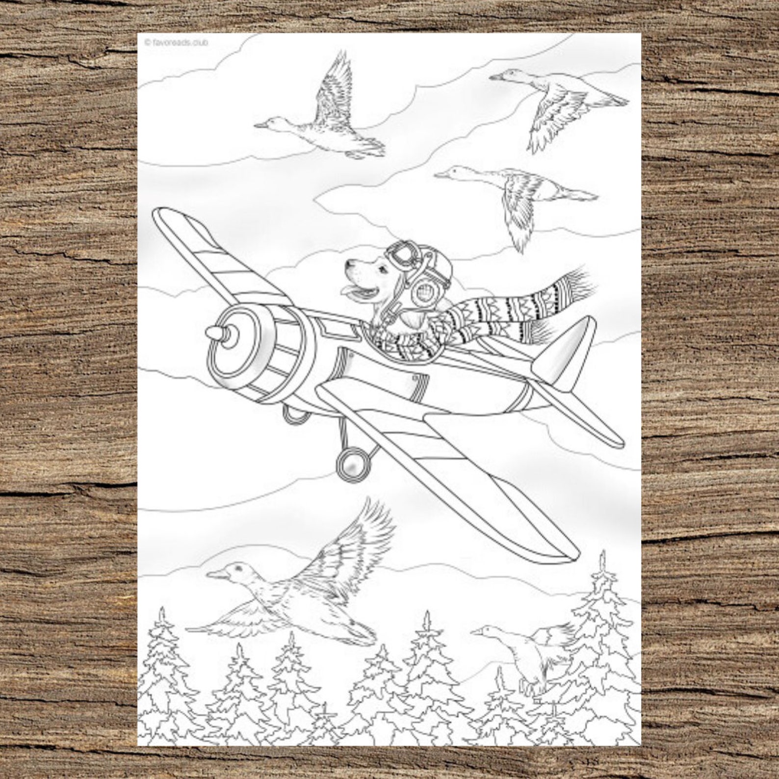 Pilot Printable Adult Coloring Page From Favoreads coloring - Etsy