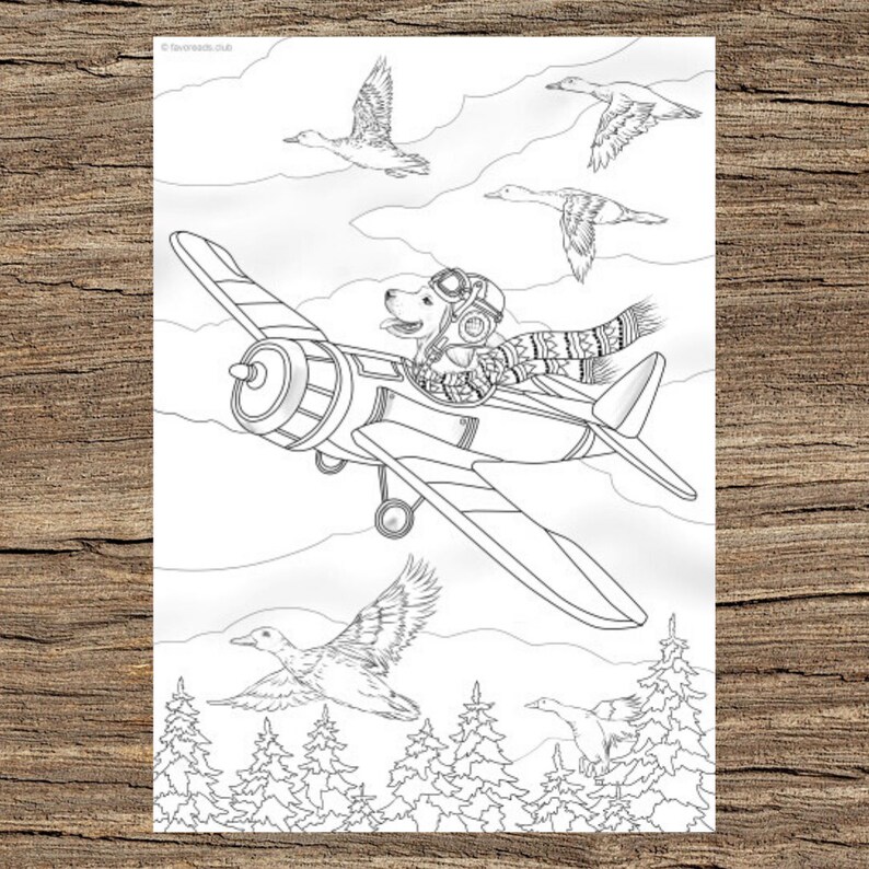 Pilot Printable Adult Coloring Page From Favoreads coloring - Etsy