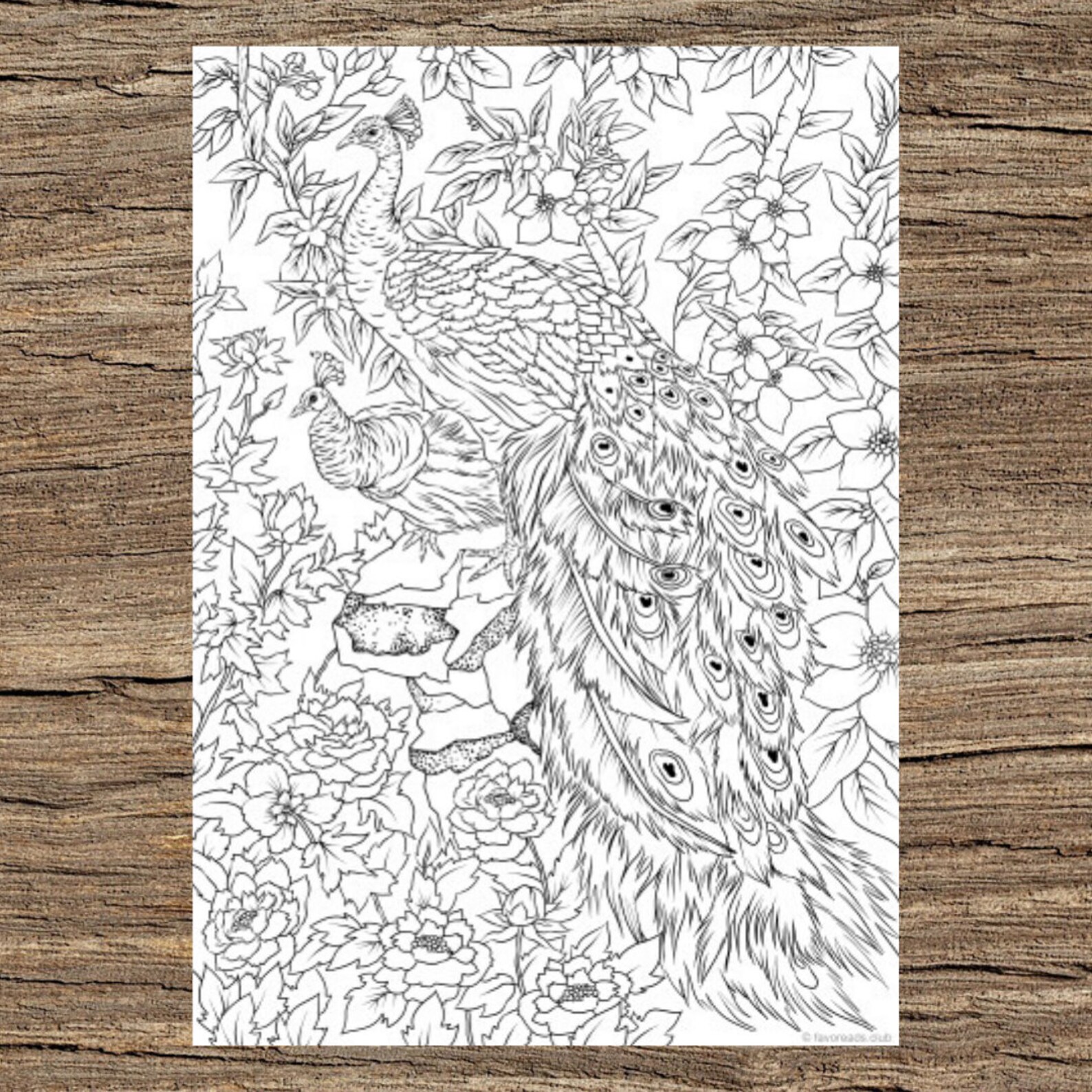 Peacocks Printable Adult Coloring Page From Favoreads | Etsy