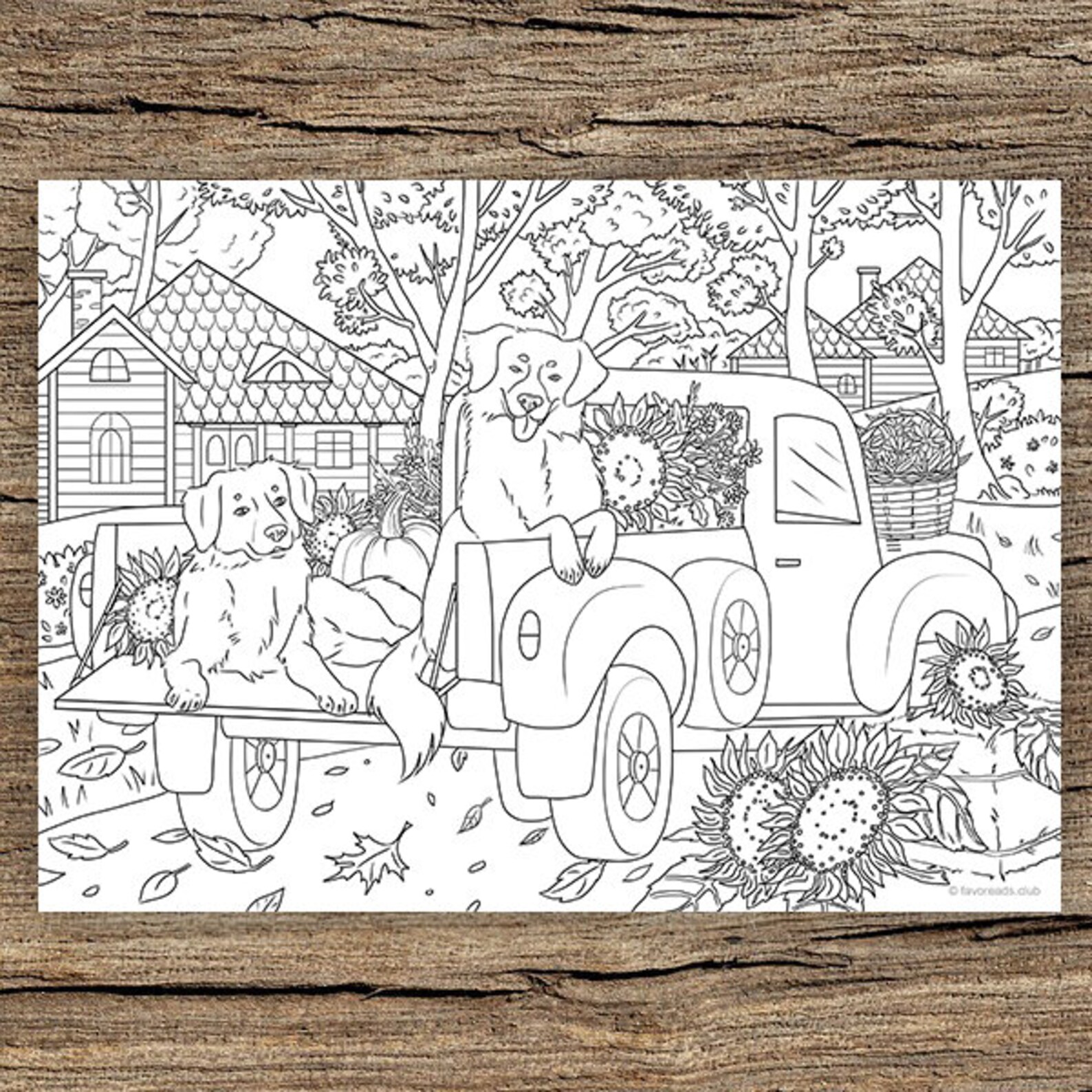Fun Ride - Printable Adult Coloring Page From Favoreads (coloring Book ...