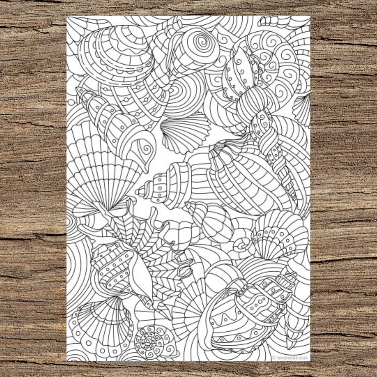 Shell Pattern Printable Adult Coloring Page From Favoreads - Etsy