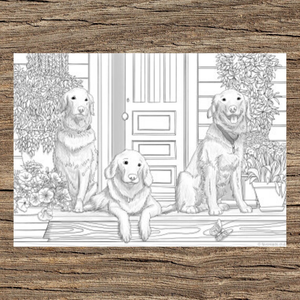 Three Friends Printable Adult Coloring Page From Favoreads | Etsy