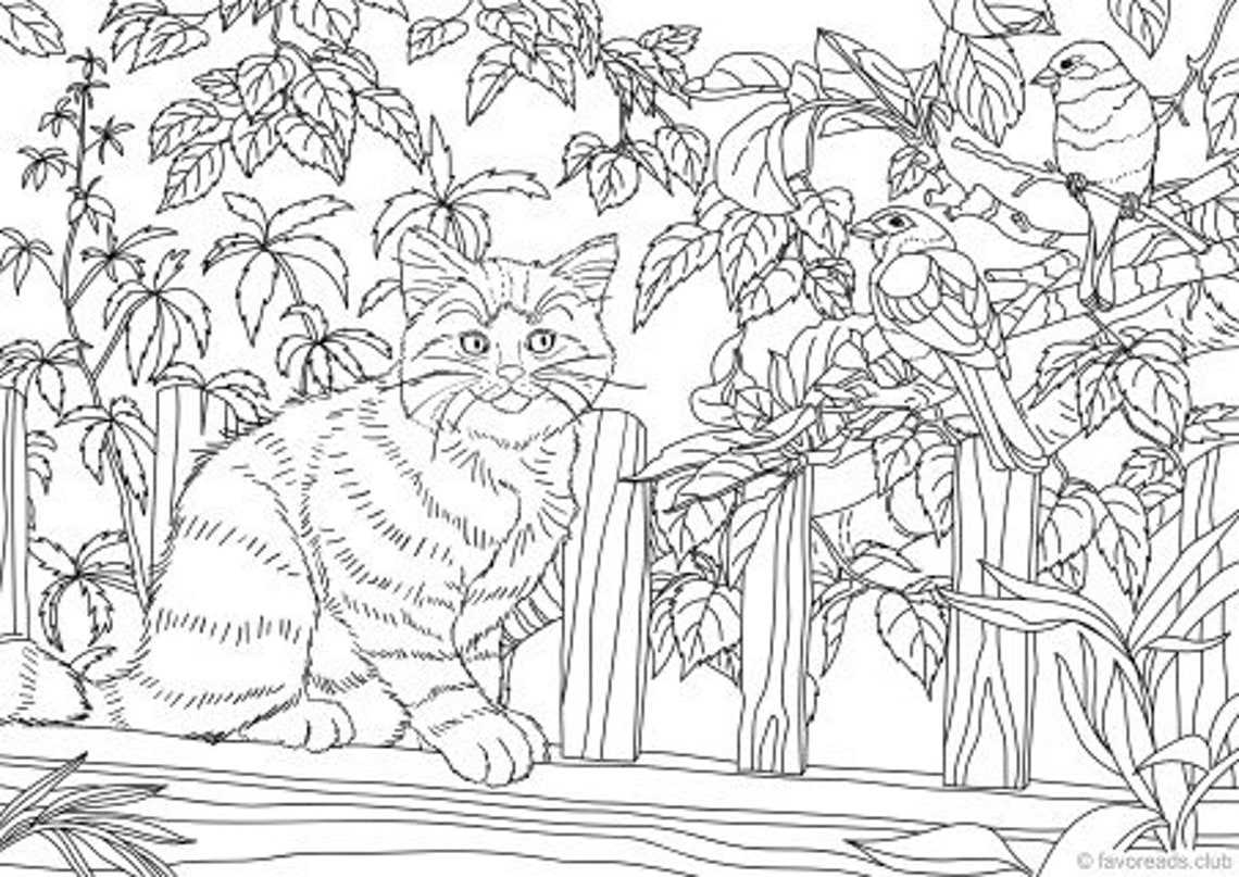 Cat and Birds Printable Adult Coloring Page From Favoreads | Etsy
