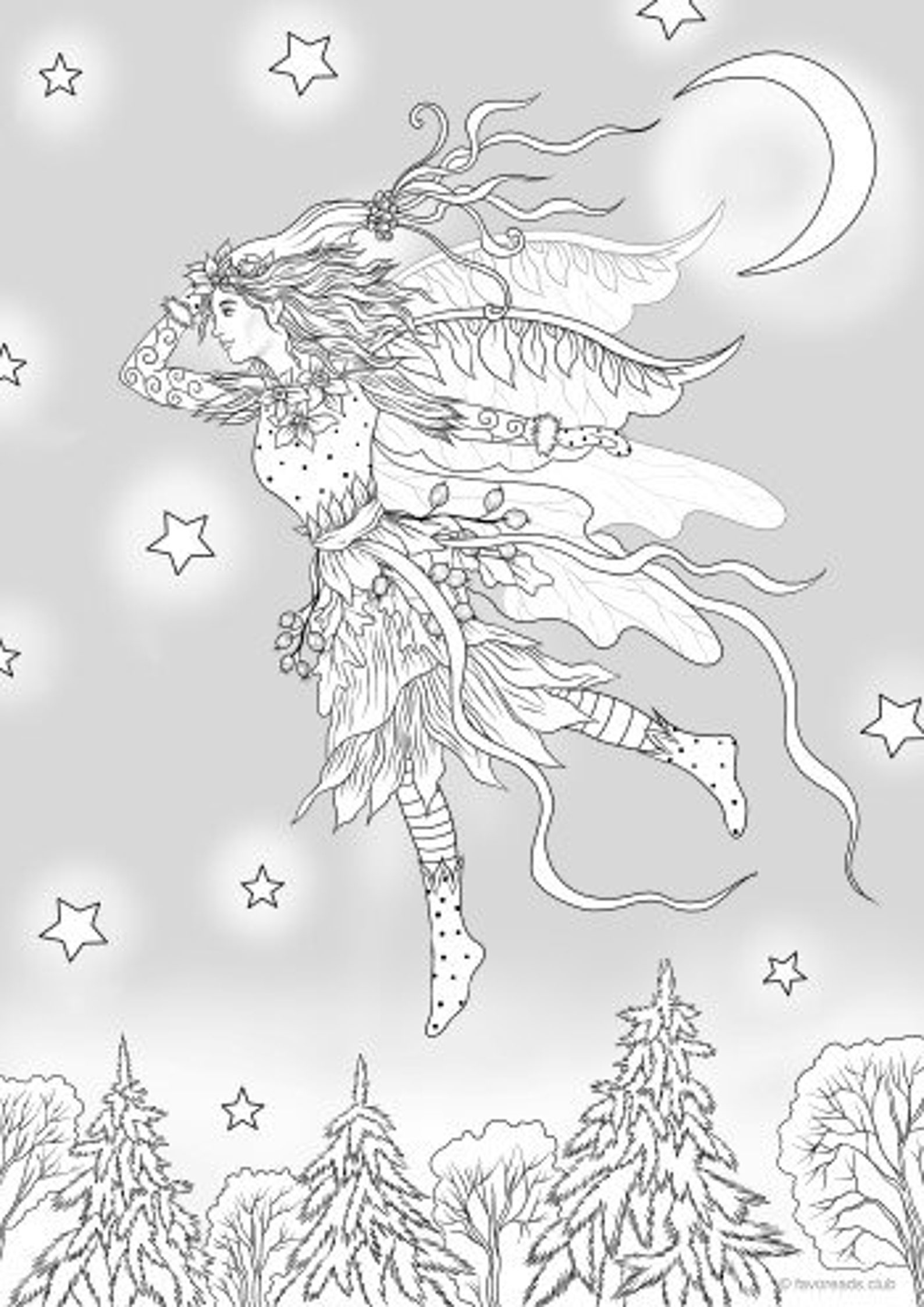 Winter Fairy Printable Adult Coloring Page From Favoreads - Etsy
