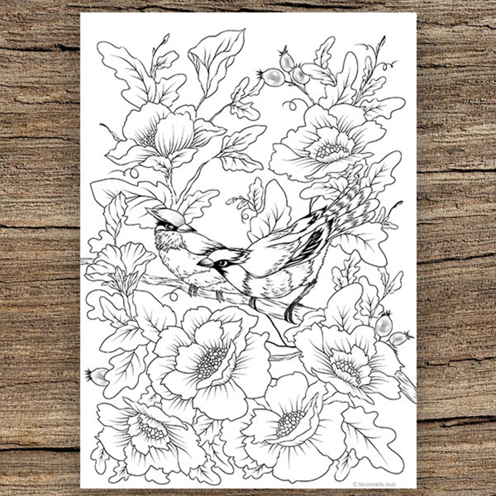 Bird Couple Printable Adult Coloring Page From Favoreads - Etsy