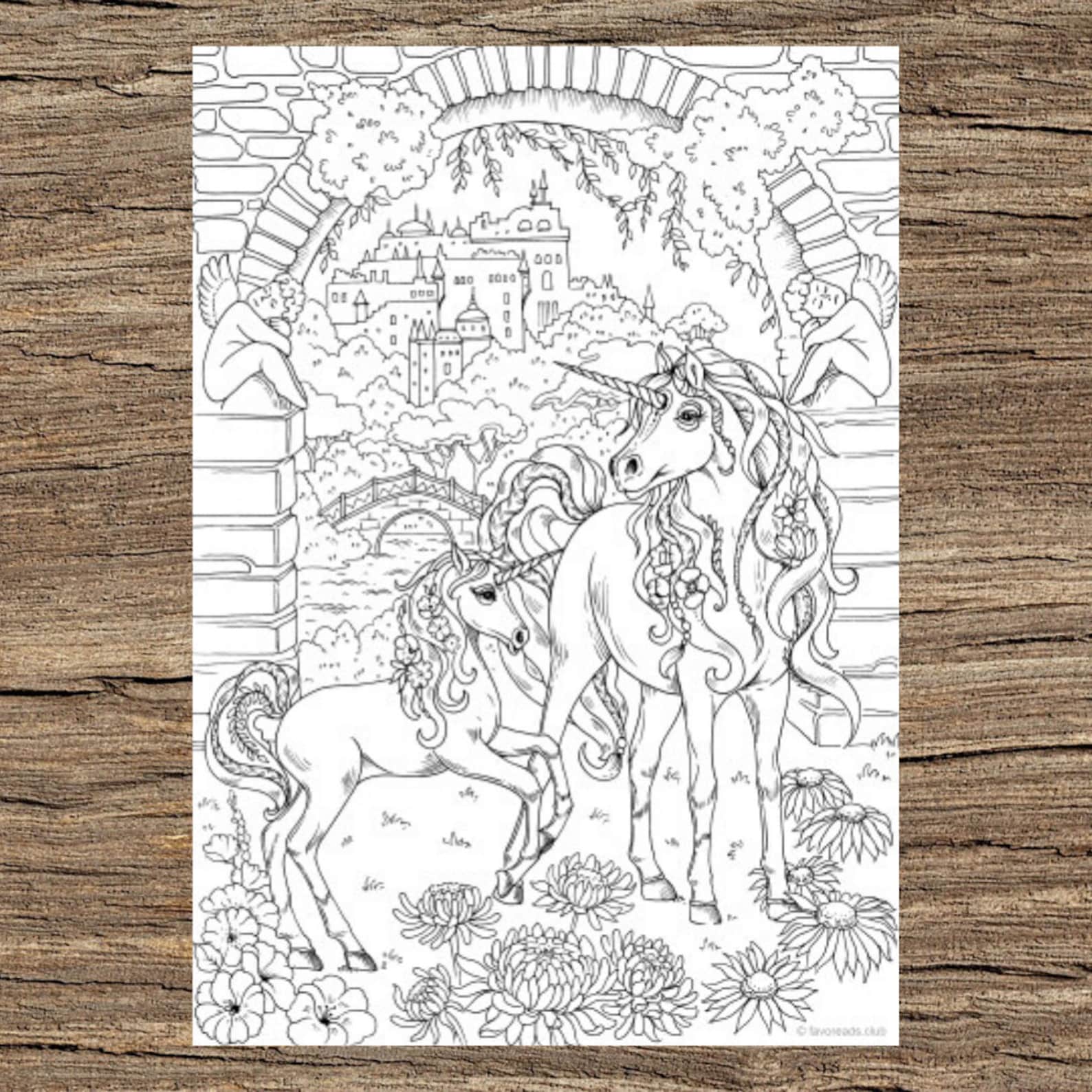 Unicorns Printable Adult Coloring Page From Favoreads - Etsy
