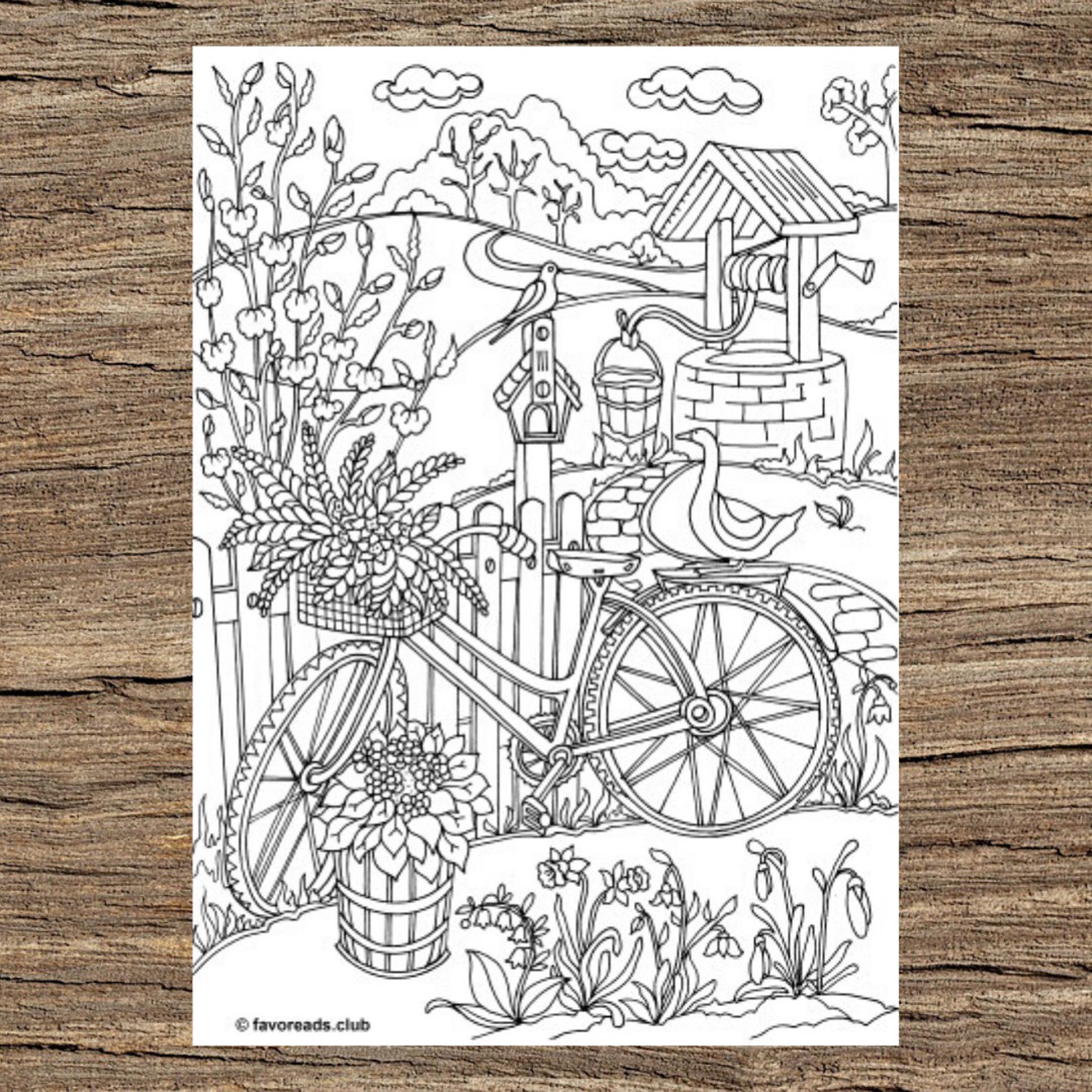 Bicycle Printable Adult Coloring Page From Favoreads - Etsy