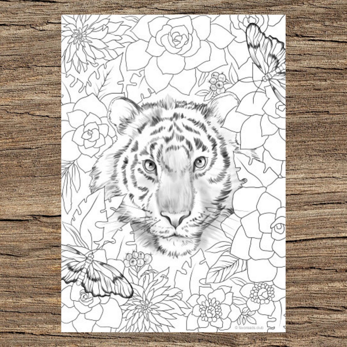 Gorgeous Tiger Printable Adult Coloring Page From Favoreads - Etsy