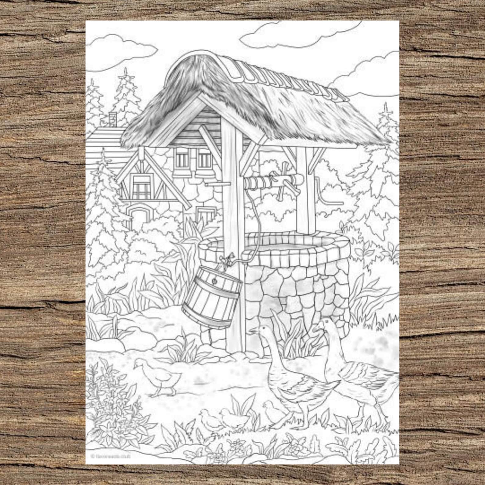 Country Well - Printable Adult Coloring Page From Favoreads Coloring ...