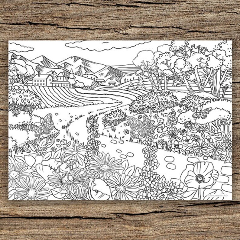Flower Field Printable Adult Coloring Page From Favoreads - Etsy Israel