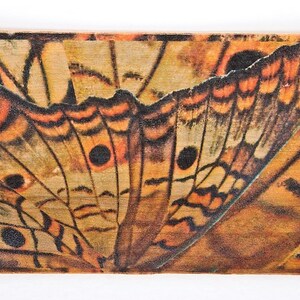 Transfer Artist Paper TAP 5 Pack by Lesley Riley - Etsy