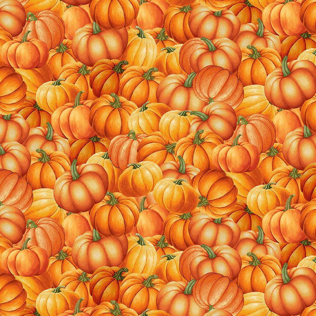 Packed Pumpkins - Pumpkin - Gather With a Grateful Heart by TIMELESS ...