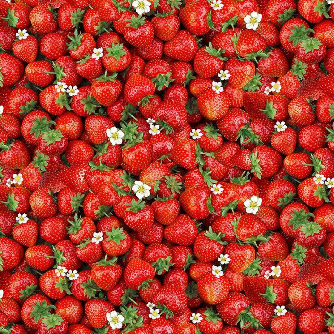 Berry Sweet by Timeless Treasures - Packed Sweet Strawberries - Red ...
